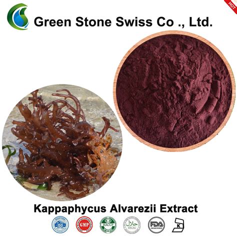 Natural 100 Herbal Extracts Herb Extracts Plant Extracts Suppliers