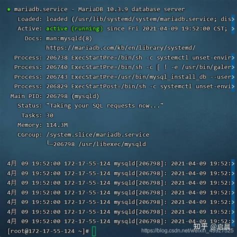 第4课：mariadb部署和配置【devops基础培训】 知乎