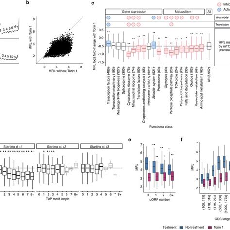 Comprehensive Analysis Of Mtor Dependent Translation Regulation By