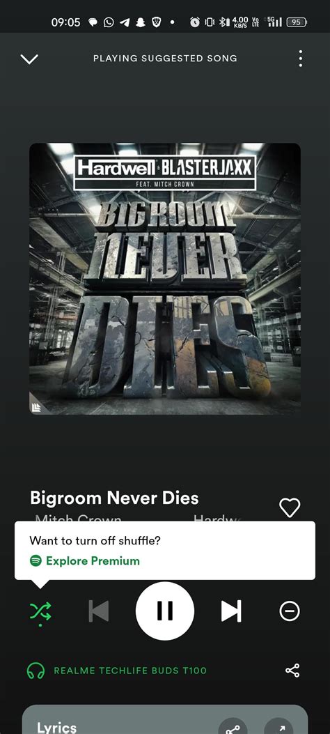 Spotify Issue Rpune