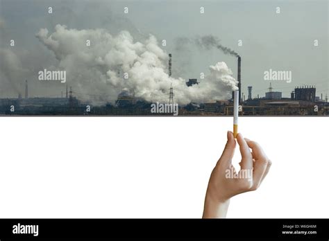 A Cigarette On The Background Of The Plant Environmental Pollution