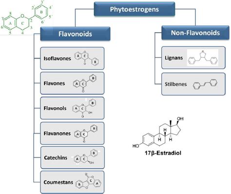 Basic Chemical Structures Of The Major Classes Of Phytoestrogens The Download Scientific