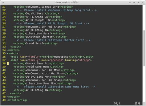 Linux Look Strange On Gvim After Applying Source Sans Pro Font