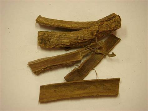 茯苓中药材 茯苓的功效与作用 茯苓使用方法和禁忌 36解析式工具箱 在线实用工具查询网