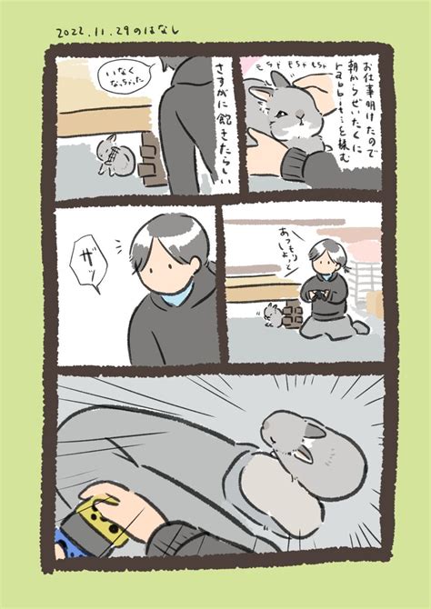 Rabbit
