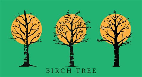 Majestic Birch Forest Vector Serenity Vector Art At Vecteezy