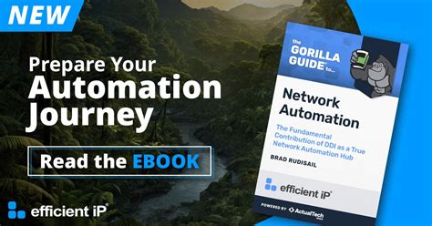 The Gorilla Guide To Network Automation Efficientip
