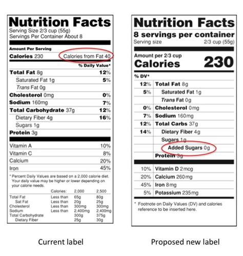 12 Oz Diet Dr Pepper Nutrition Facts Travellin