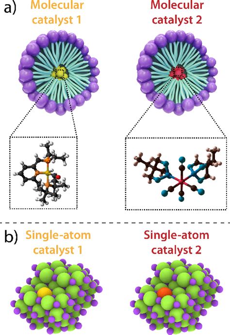 Schematic Representation Of The Analogy Between The Tandem Integration