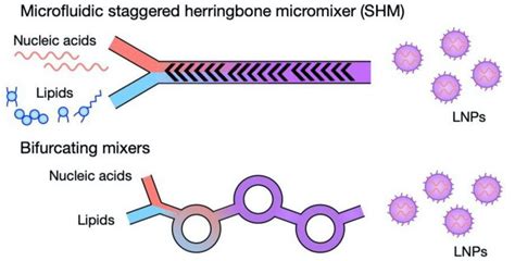 Publications Mitchell Lab