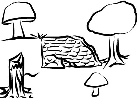 Rough Objects