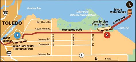 Dissolved Microcystin Release Coincident With Lysis Of A Bloom