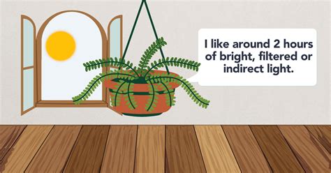 Direct Vs Indirect Light Direct Light Vs Indirect Light Lighting