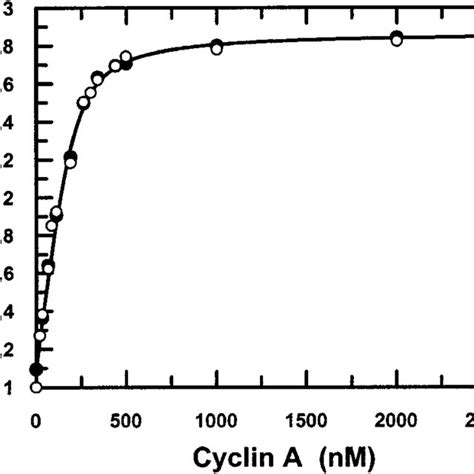 A Nucleotide Binding To Cdk2 And Phosphorylated Cdk2 Atp Or Adp