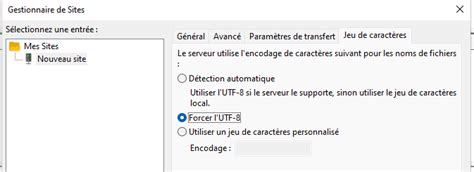 Setting Up A Secure FTP Server In IIS With SSL