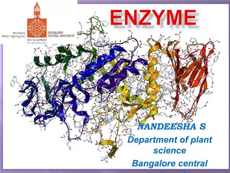 Enzyme Introduction Nomenclature Properties And Classification Pptx