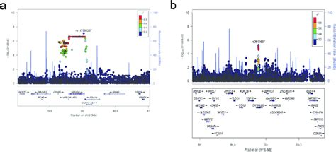 Regional Association Plot For A The Chromosome 9q212 Locus Centered