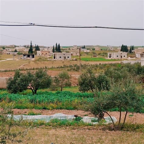 قرية فرس صغير