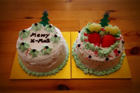 속초 케이크 만들기 체험 비올레♡ 네이버 블로그