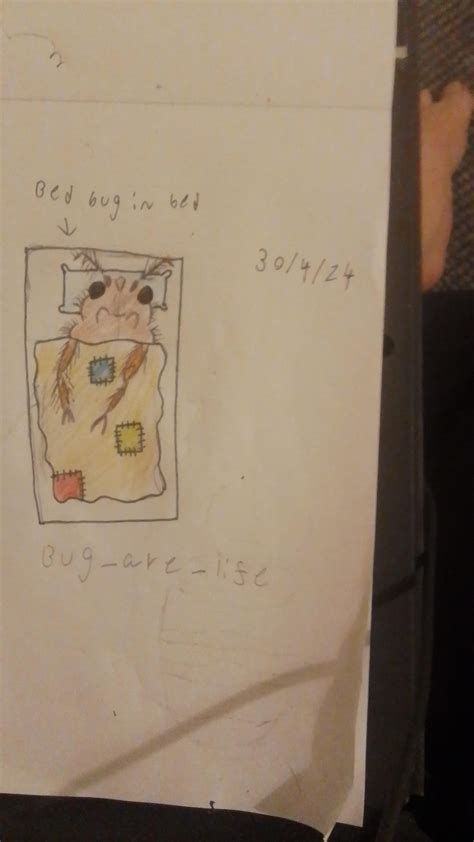 Bed Bug All Tucked In For Bed🦗💤 Rdoodles