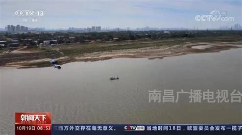 央视《朝闻天下》报道：赣江南昌段扬子洲水域连续观测到多头长江江豚澎湃号·媒体澎湃新闻 The Paper