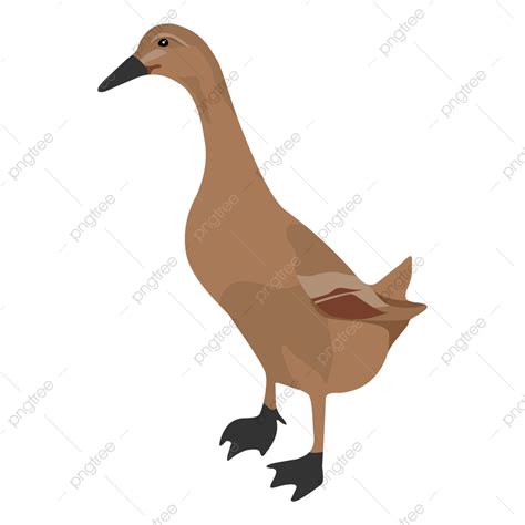 Jangan Memberi Makan Hewan Makanan Bebek Ilustrasi Png Dan V