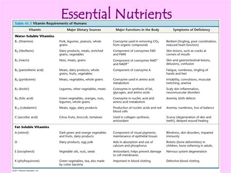 Ppt Ch 41 Powerpoint Presentation Free Download Id 5702902