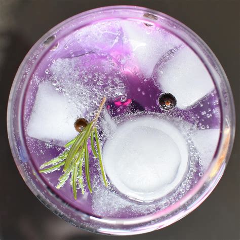 200 Free Gin Tonic And Gin Images Pixabay
