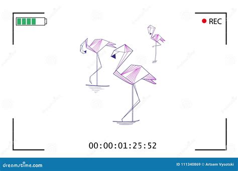 Camera Viewfinder Focusing Screen Of The Camera Viewfinder Camera Recording Vector Template