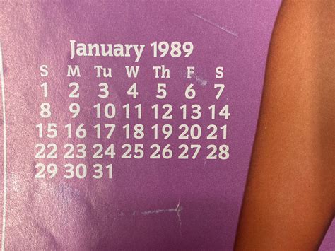 Sun Page 3 Calendar 1983 Also Avail 1979198119821883198419861988 And 1989 Strichen Antiques