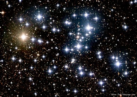 The Butterfly Cluster Telescope Live