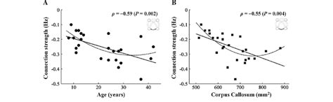 Effective Connectivity And Structural Brain Maturation The Plots Show