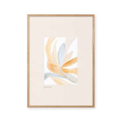 Contour Orange Peléton
