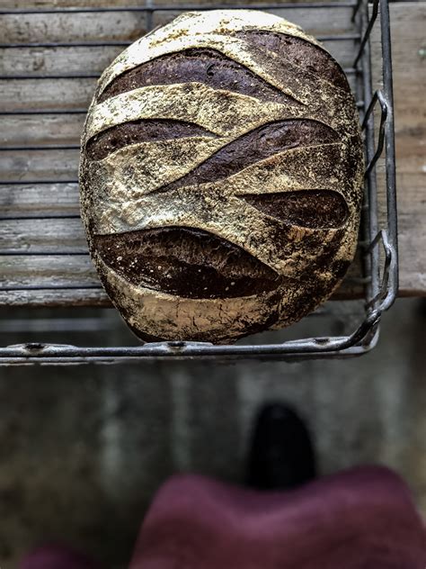 Week By Week Lessons The Sourdough School
