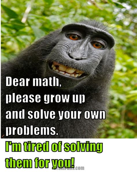 Puzzle Picture Logic Puzzle Brainfans