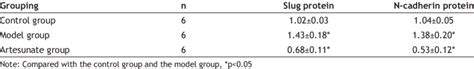 Analysis On Mrna And Protein Expression Of α Sma And Collagen I In