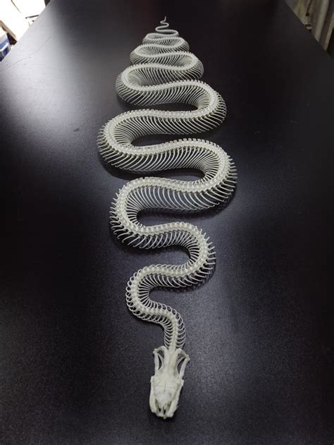 Collector Of Dead On Tumblr Well One More Comes Out 327 Meter