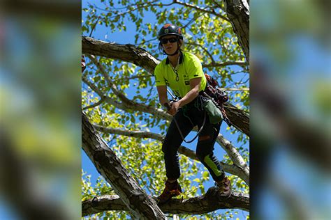 SunLive Female Arborist Climbs To World Competition The Bay S News First