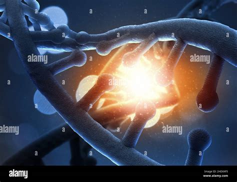 Genetic Research Coding Dna Strand Genetic Researchs Dna Strands