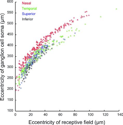 Relation Of The Eccentricity Of Individual Retinal Ganglion Cells To