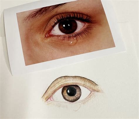 Susan Fay Schauer The Crying Eye A Colored Pencil Demo Winslow Art Center