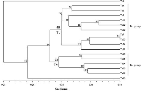 Upgma Dendrogram Based On Jaccards Similarity Coefficient Among Thymus