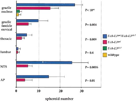 Figure 1 From Loss Of Uch L1 And Uch L3 Leads To Neurodegeneration Posterior Paralysis And