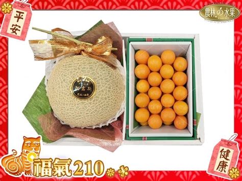 《此項商品已售完→請回→首頁選購》福氣210 虎年新春禮盒－日本空運進口溫室小金桔 1盒＋台灣精品經典阿露斯綠肉哈密瓜 農林水果 超夯精品