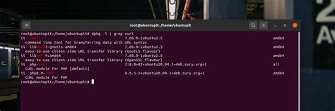 Cómo instalar y usar Curl en distribuciones de Linux una guía para