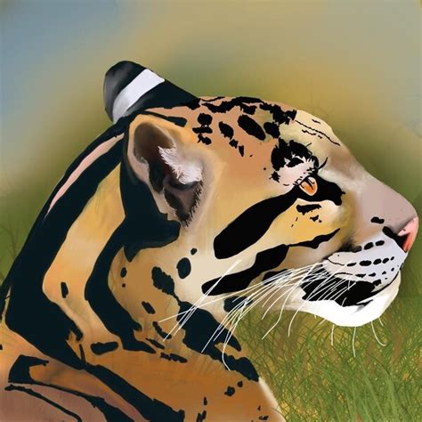 Clouded Leopard Etsy