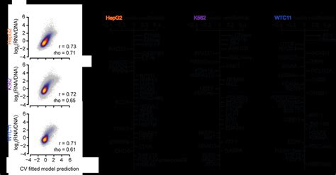Prediction Of Sequence Activity Based On Biochemical Features A