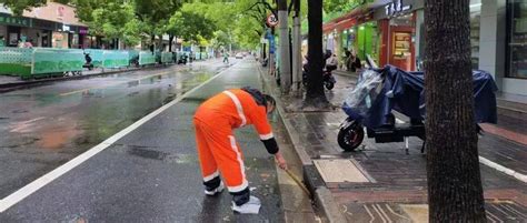 区绿化市容局积极做好台风“梅花”防范应对工作巡查检查应急