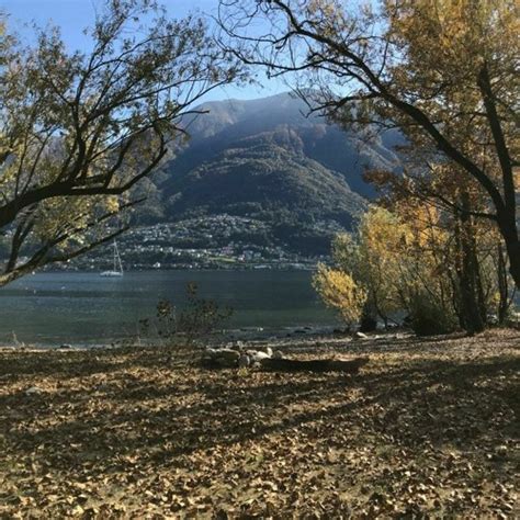 Stream Vloop Listen To Vanloops Playlist Online For Free On Soundcloud