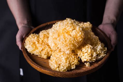金耳刺身图片素材 金耳刺身设计素材 金耳刺身摄影作品 金耳刺身源文件下载 金耳刺身图片素材下载 金耳刺身背景素材 金耳刺身模板下载 搜索中心